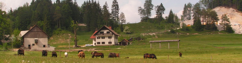 Dolomit Janko Kosmač s.p.